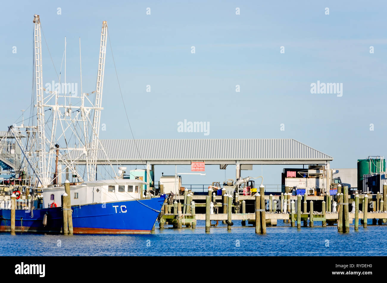 A shrimp boat is docked in Pass Christian Harbor, Feb. 24, 2019, in ...
