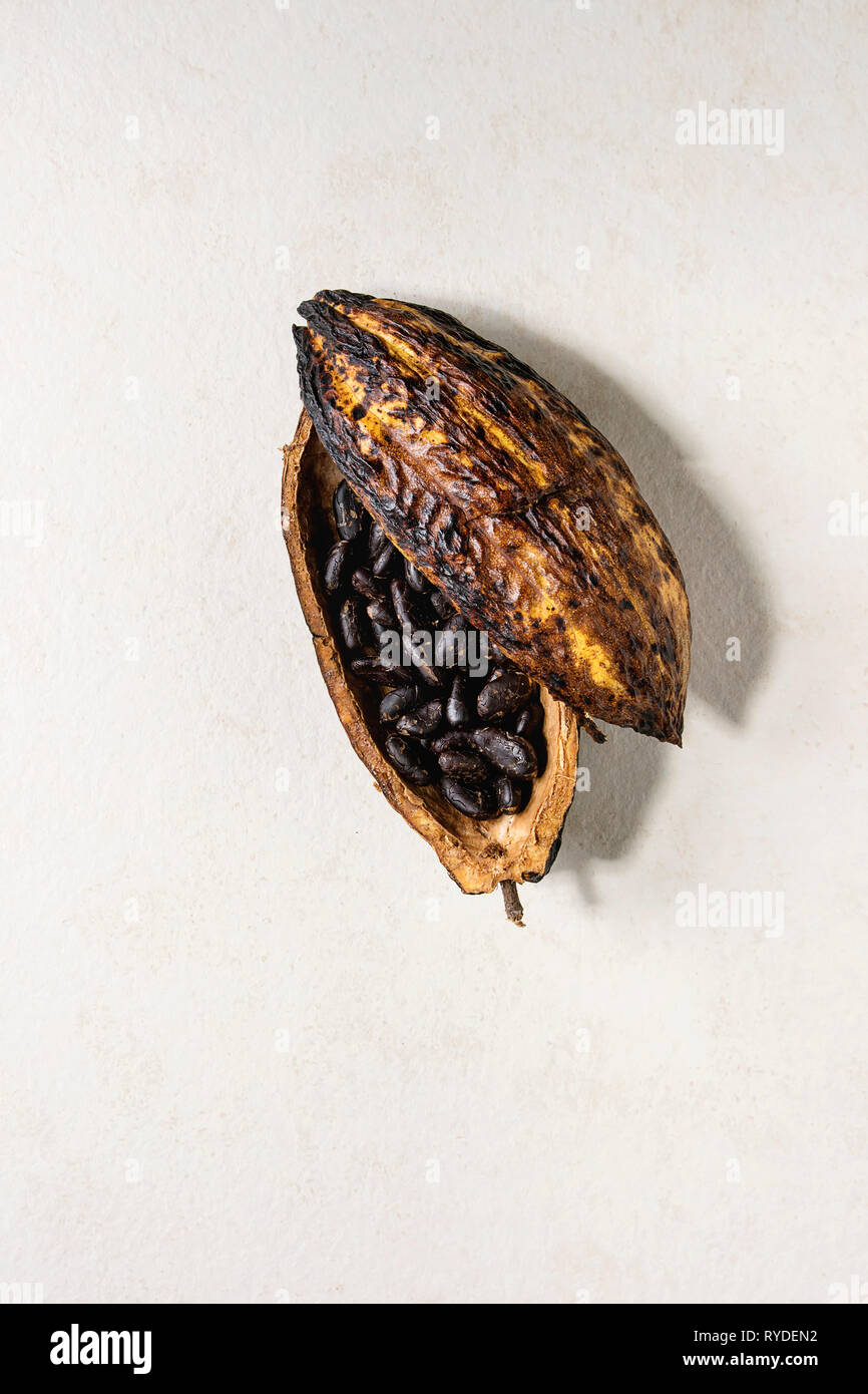Fresh and dry cocoa beans from cocoa pod over white texture background ...