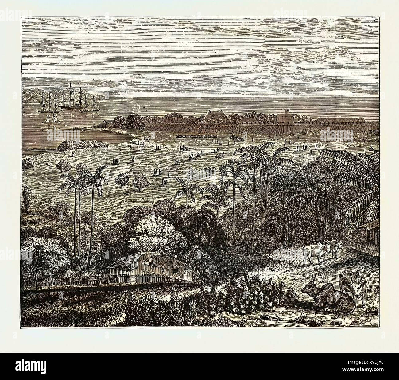 View of Point De Galle, Ceylon, Sri Lanka Stock Photo - Alamy