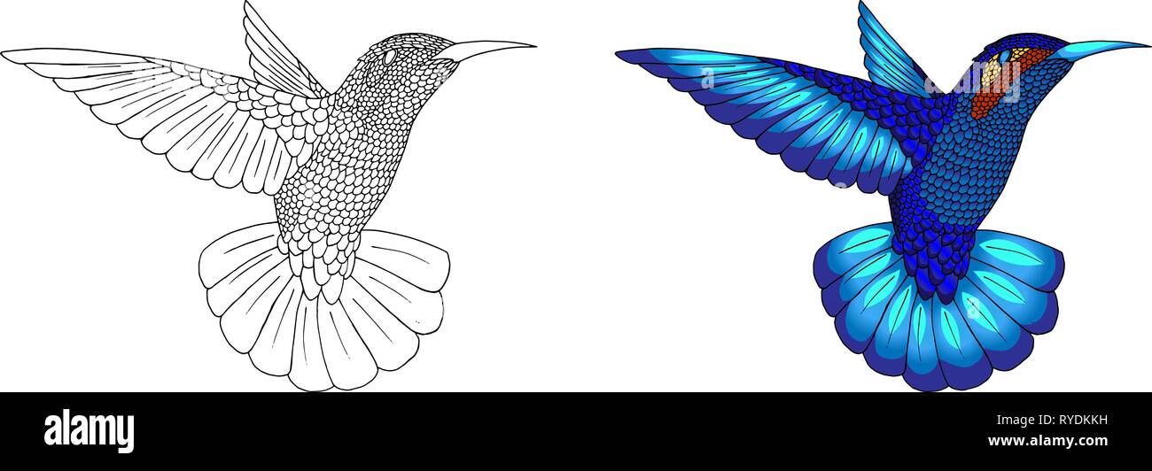 Small hummingbird. Exotic tropical colibri animal icon. Golden emerald ...