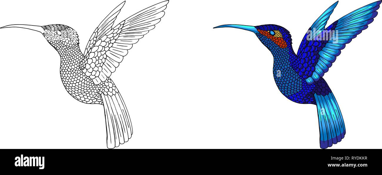 Small hummingbird. Exotic tropical colibri animal icon. Golden emerald ...