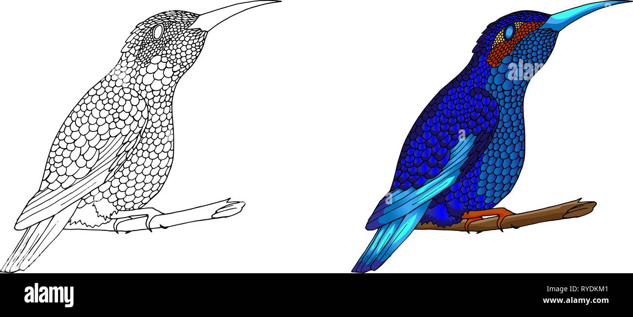 Small hummingbird. Exotic tropical colibri animal icon. Golden emerald ...