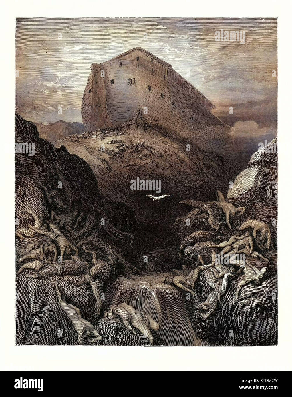 Image dove Cut Out Stock Images & Pictures - Alamy