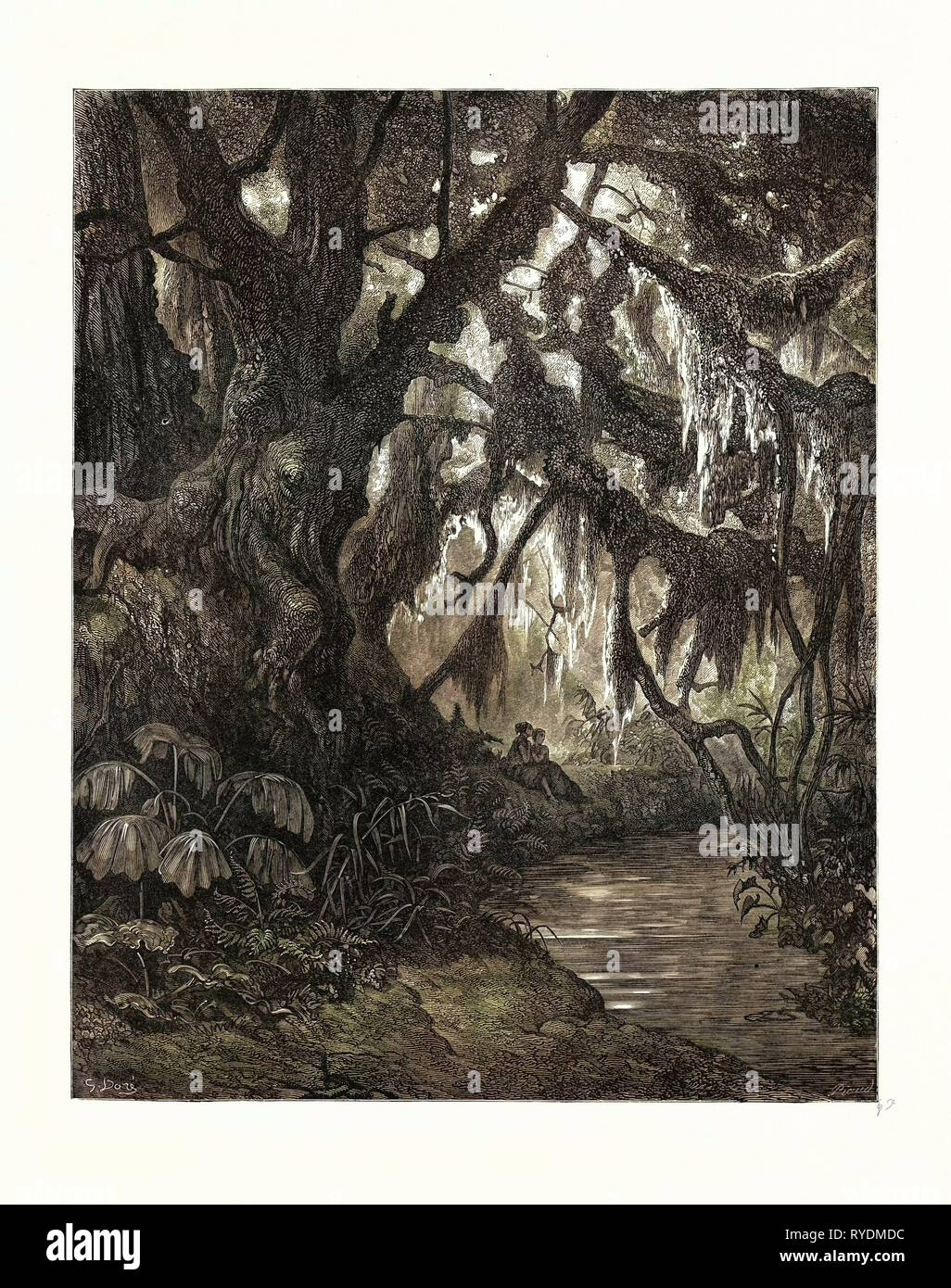 Gustave dore forest hi-res stock photography and images - Alamy
