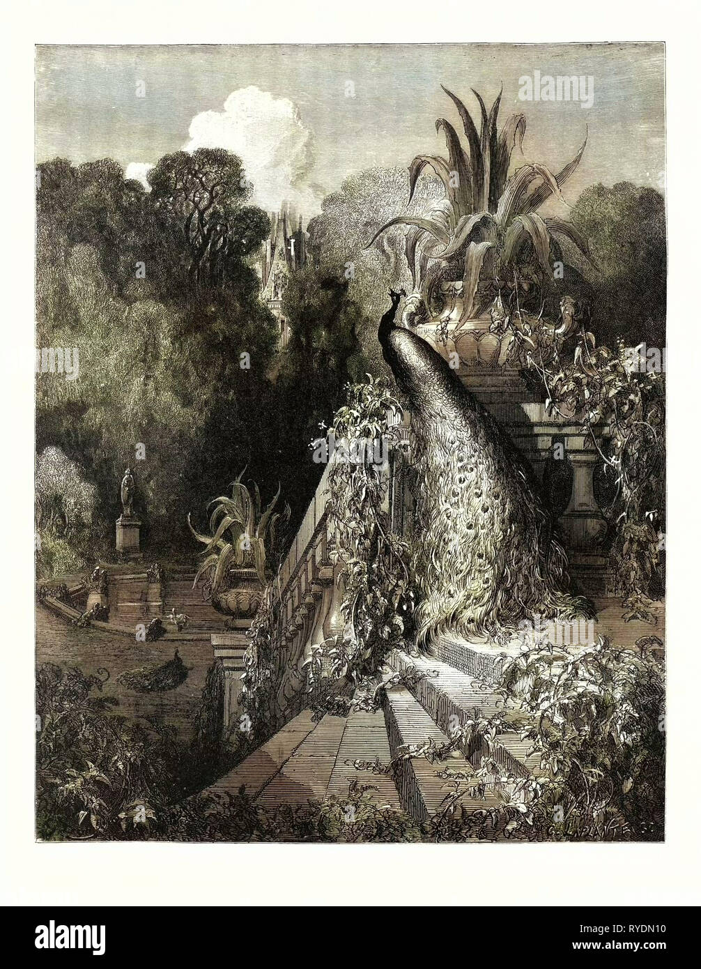 The Peacock Complaining to Juno, by Gustave Doré, 1832 - 1883, French ...