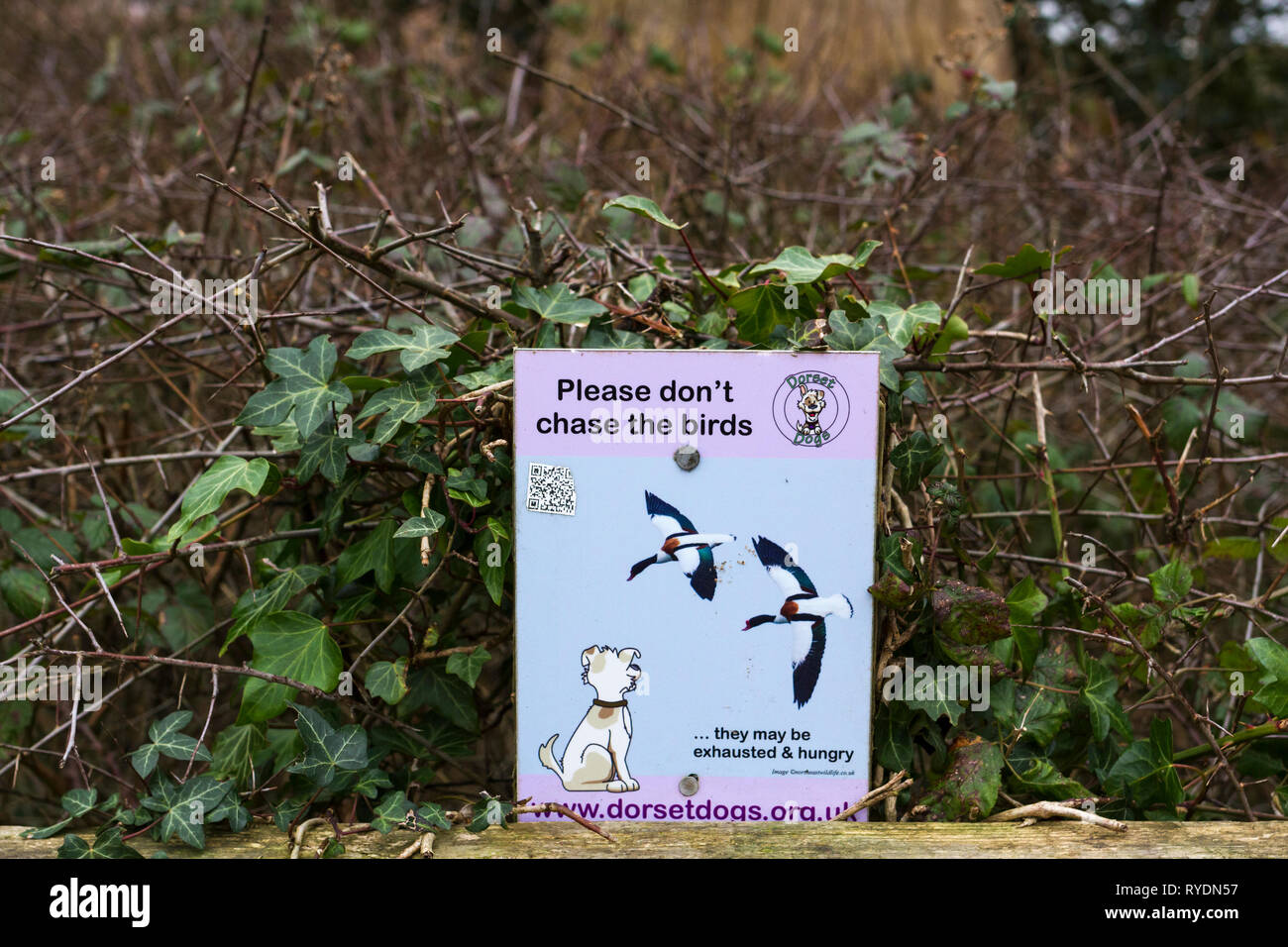 Please do not feed the birds sign hi-res stock photography and images ...