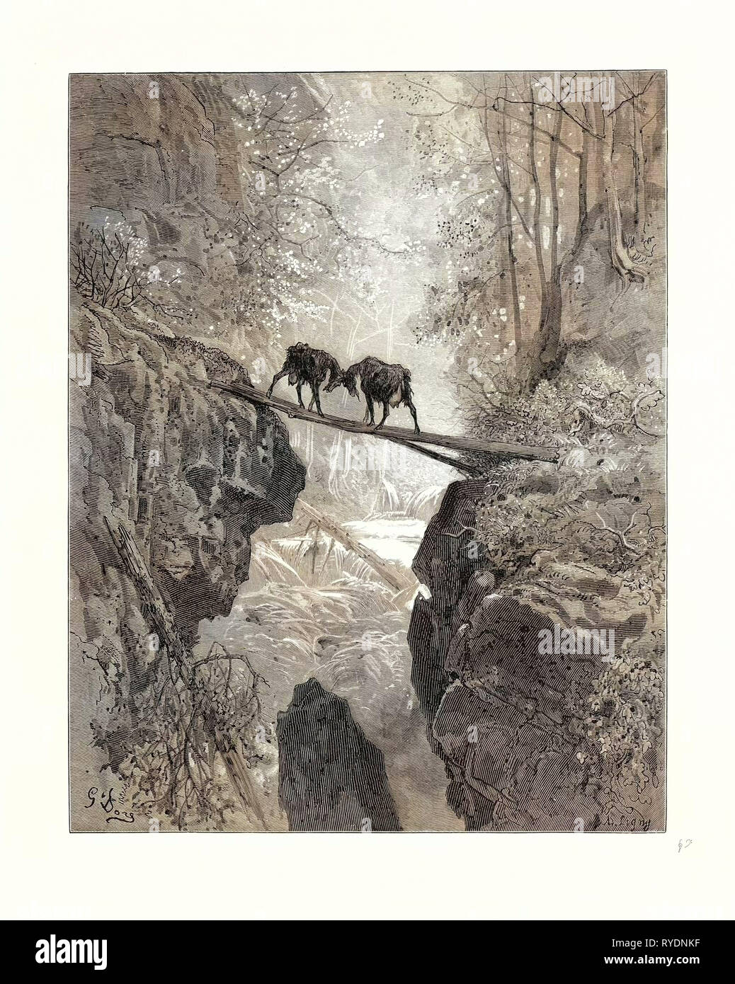 The Two Goats Stock Photo - Alamy