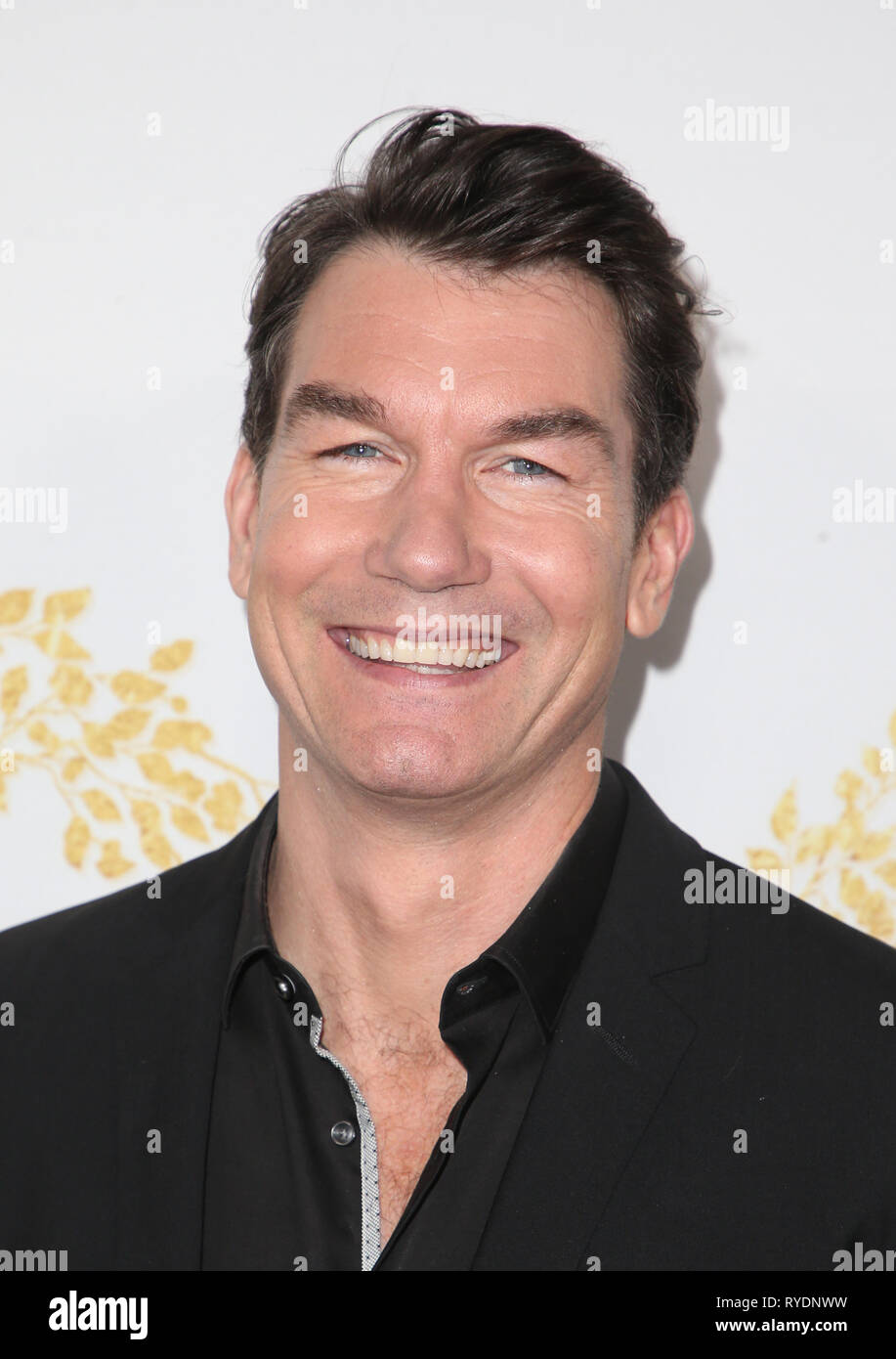 Hallmark Channel, TCA Winter Press Tour Featuring: Jerry O'Connell ...