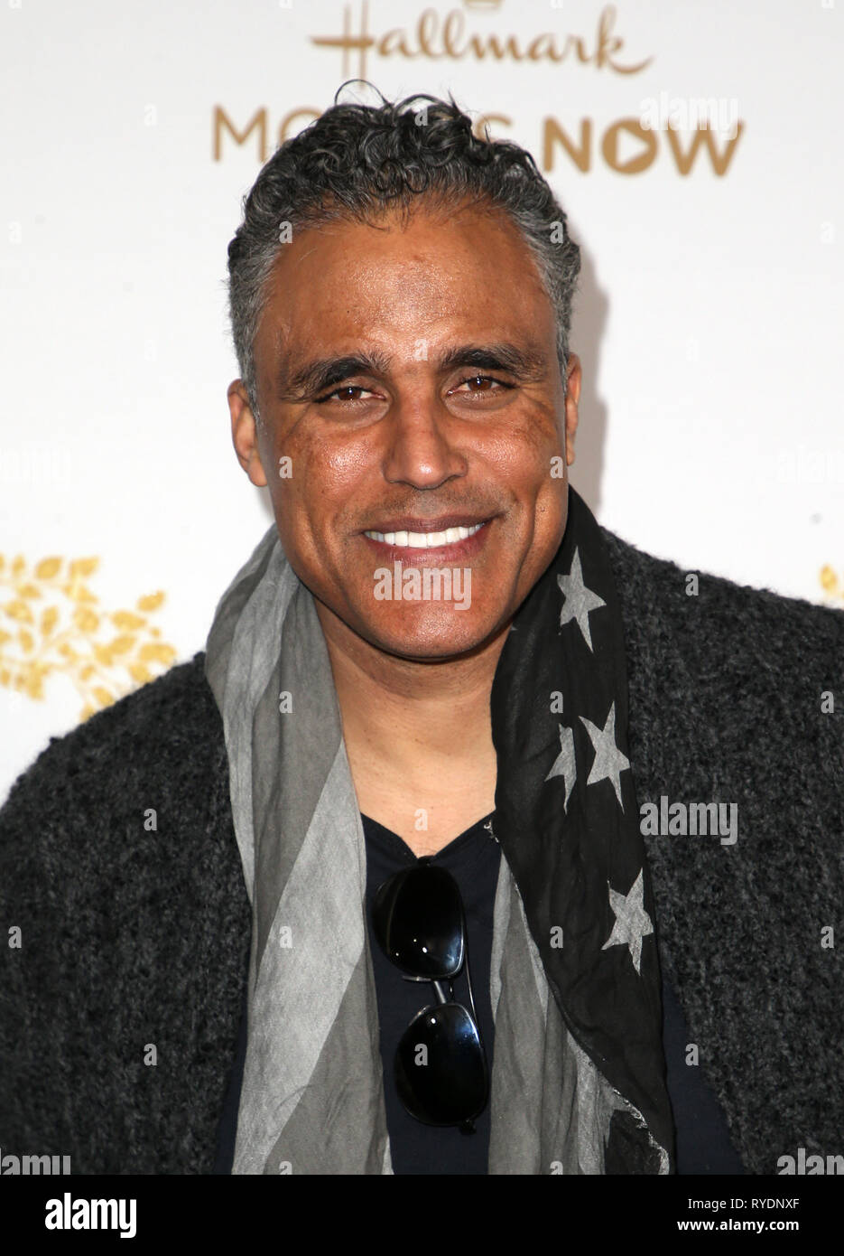Hallmark Channel, TCA Winter Press Tour Featuring: Rick Fox Where ...