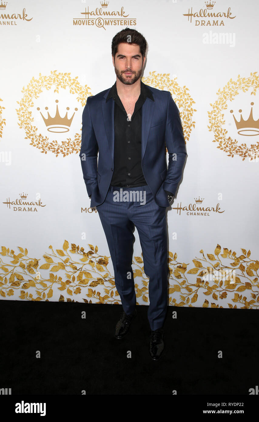 Hallmark Channel, TCA Winter Press Tour Featuring: Nick Bateman Where ...