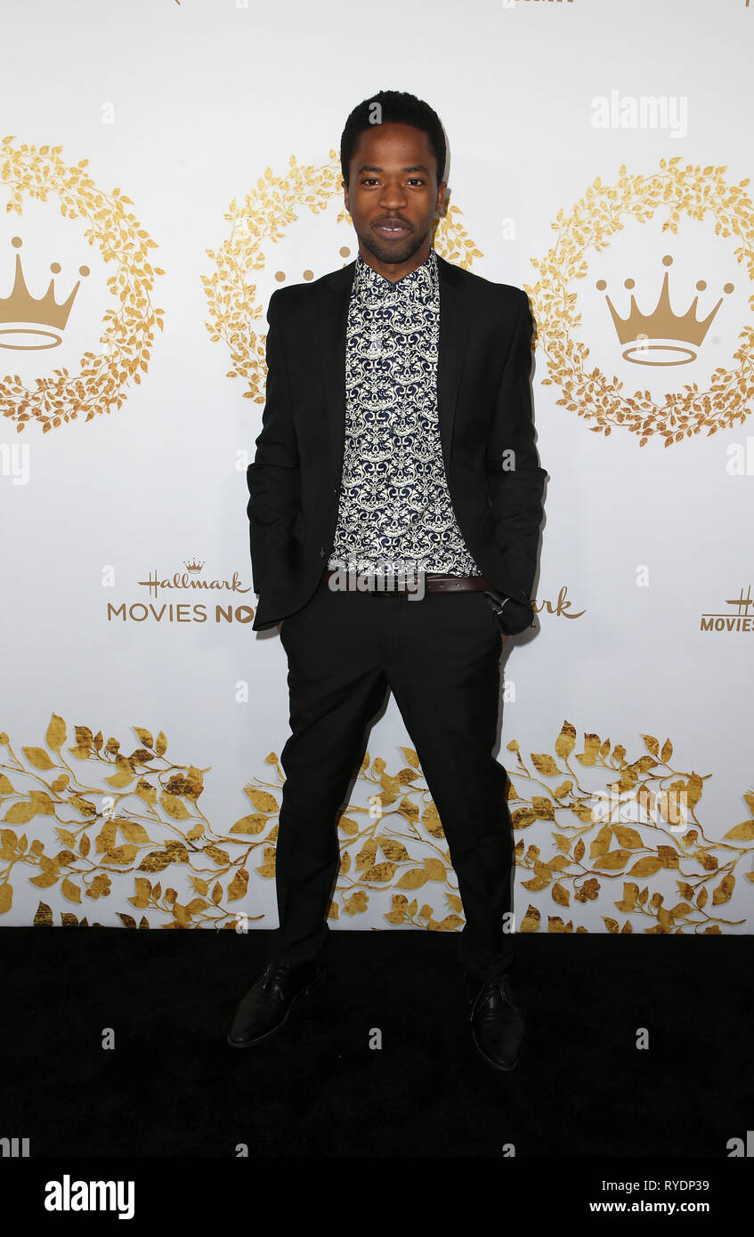 Hallmark Channel, TCA Winter Press Tour Featuring: Dewshane Williams ...