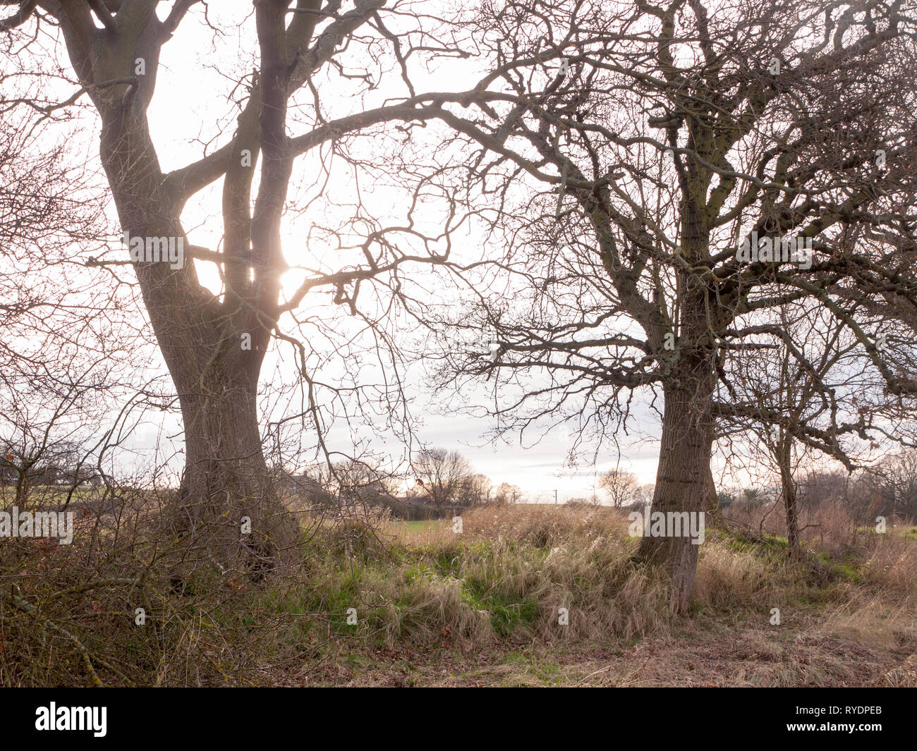Beautiful bay coastal open scenery outside Manningtree, Jacques Bay ...