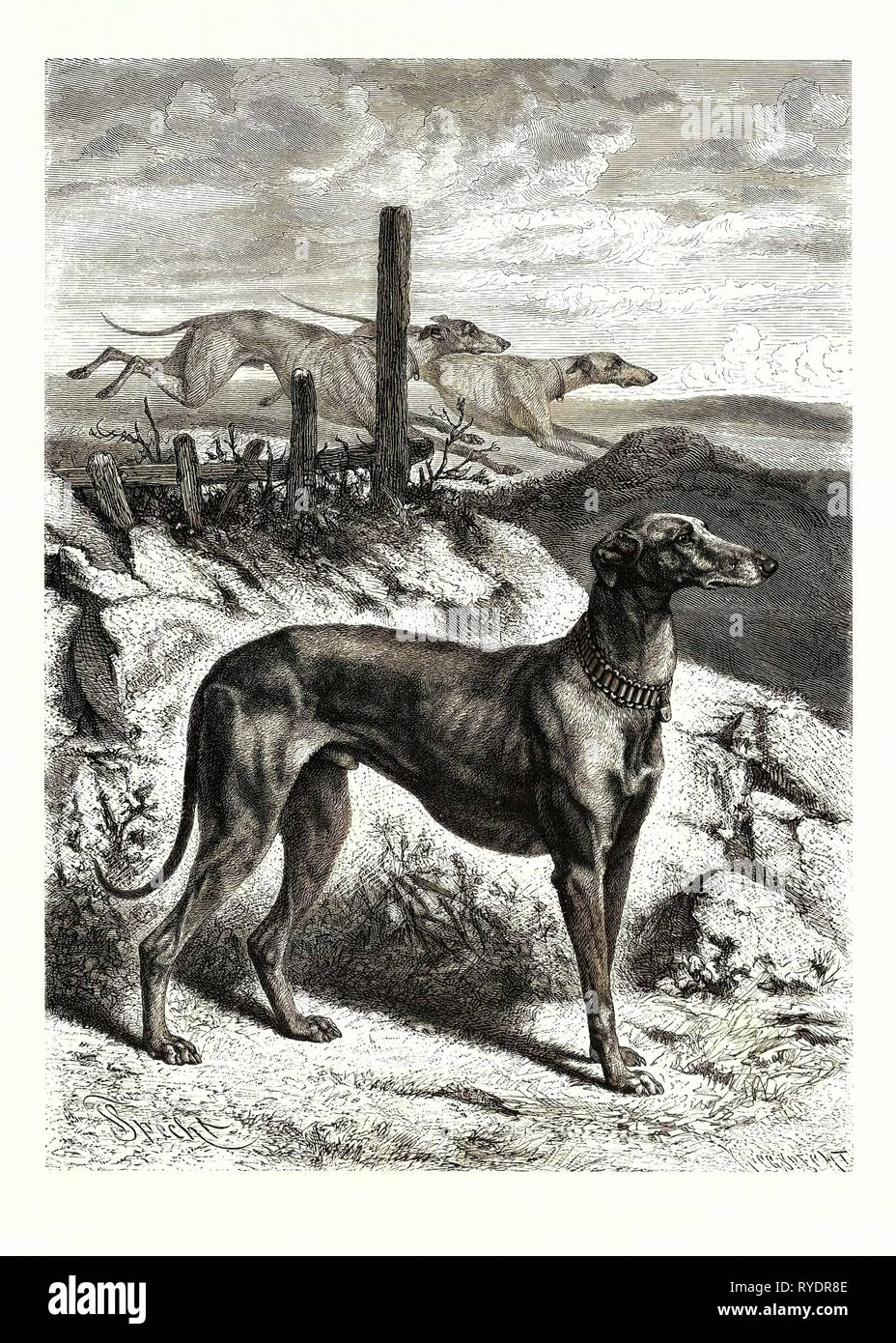 English styled Cut Out Stock Images & Pictures - Alamy