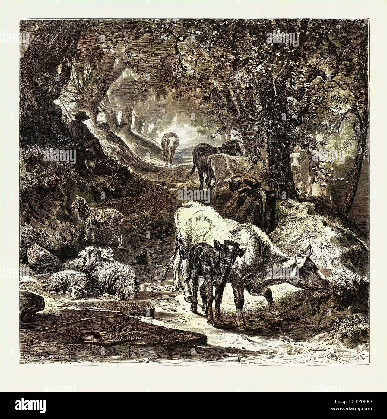 The Shady Lane Stock Photo - Alamy