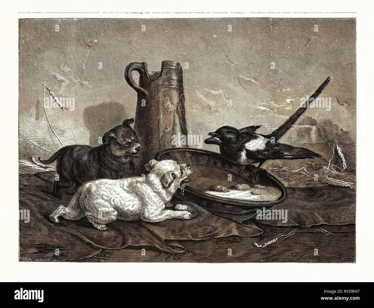 Unbidden hi-res stock photography and images - Alamy