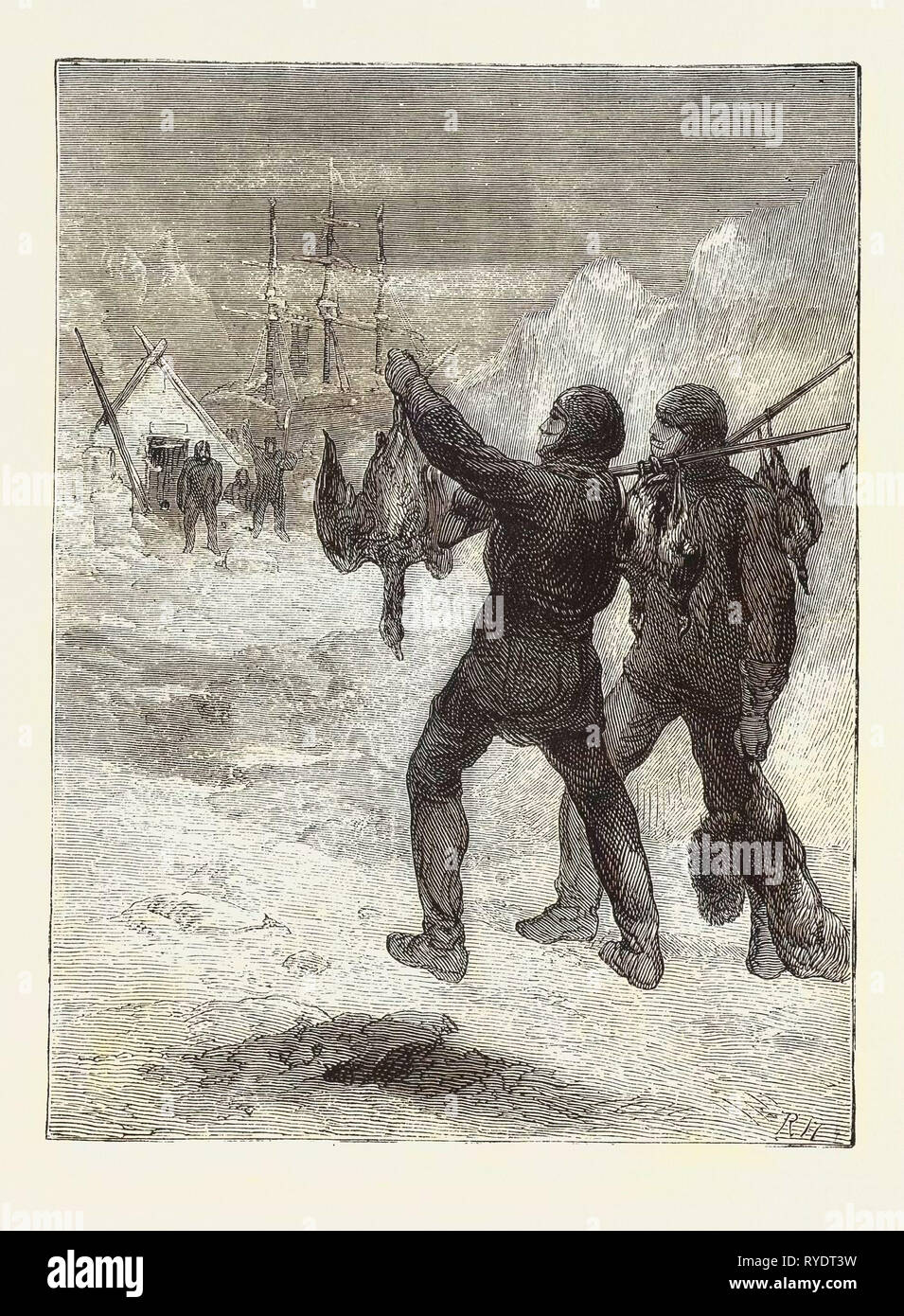 Christmas with the Arctic Expedition, 1876, Fresh Meat for Dinner Stock ...