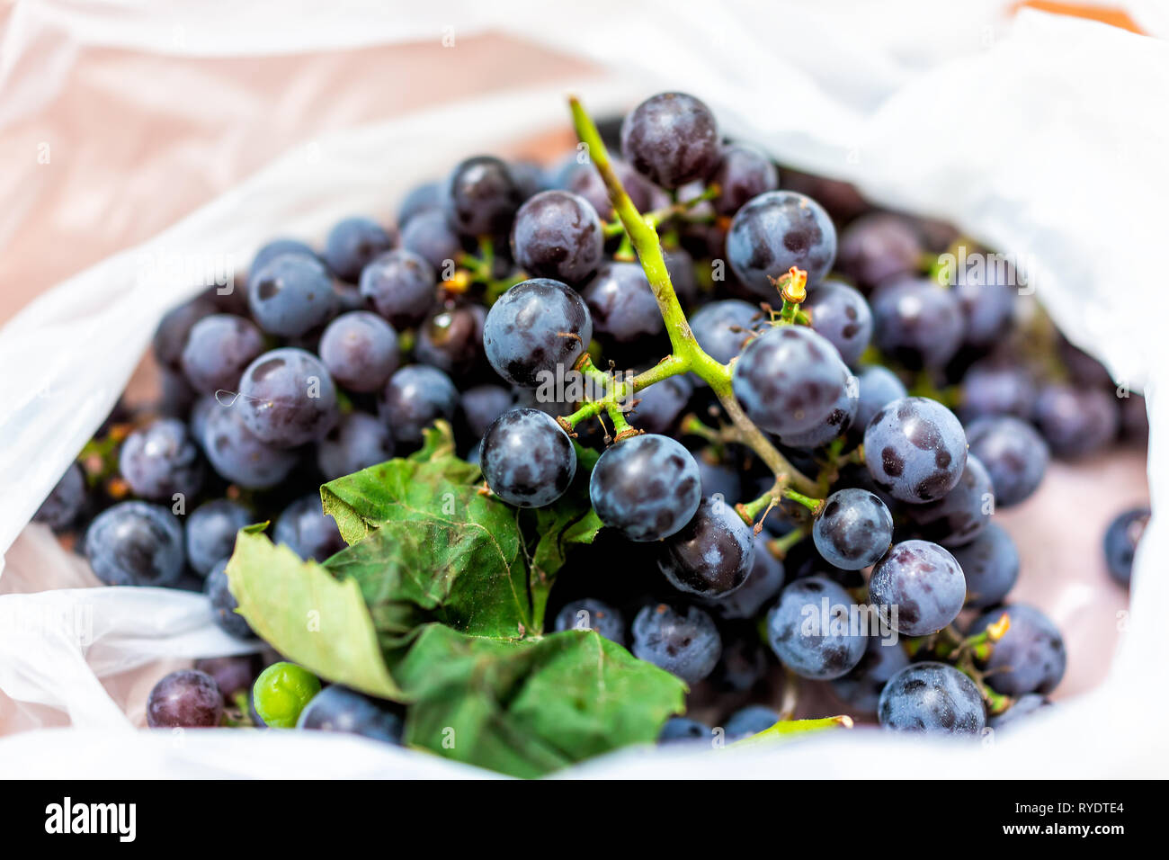 Plastic bag of grapes hi-res stock photography and images - Alamy