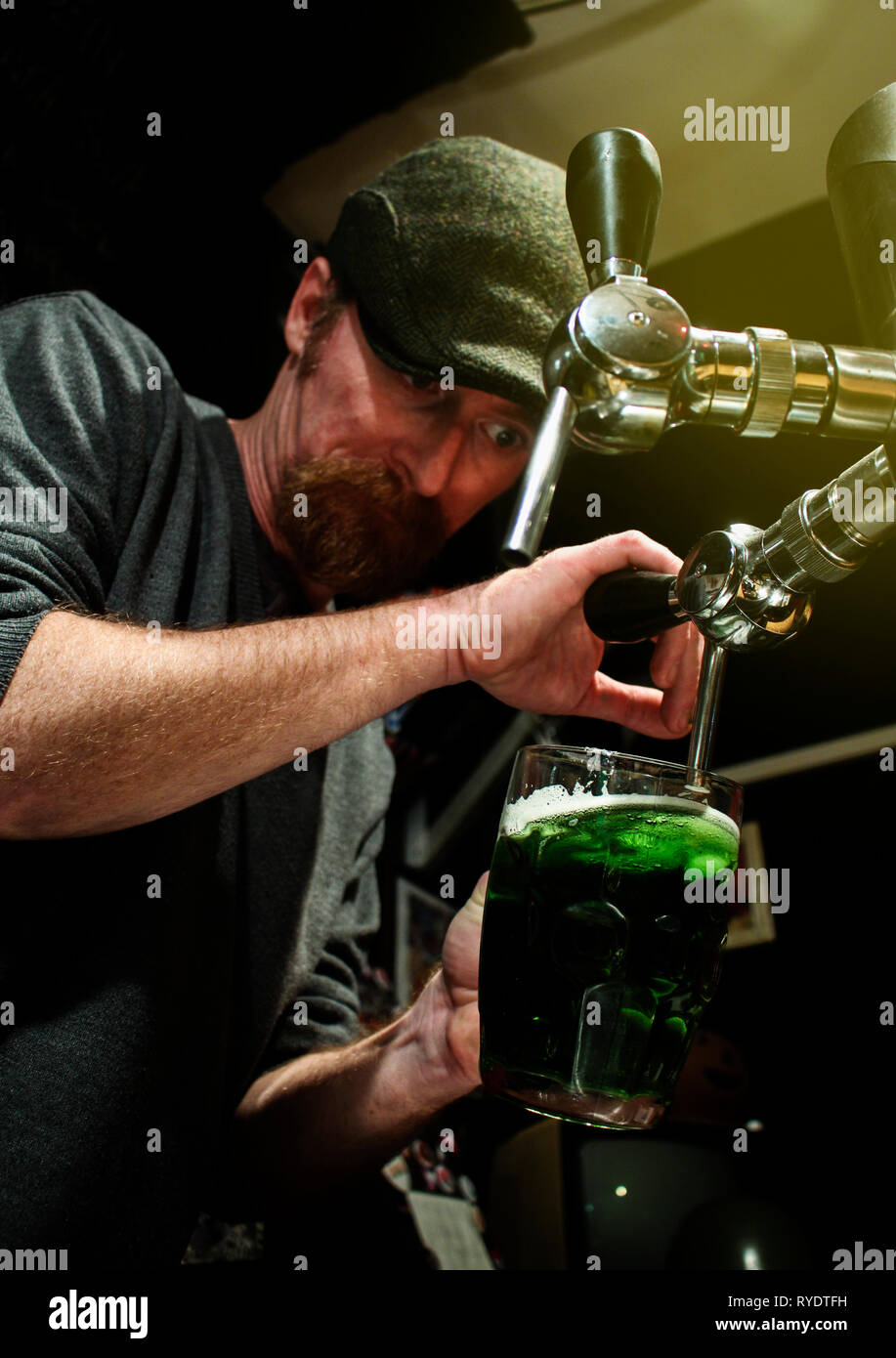 Pouring green beer in glass jug by bartender in Irish pub or some other ...