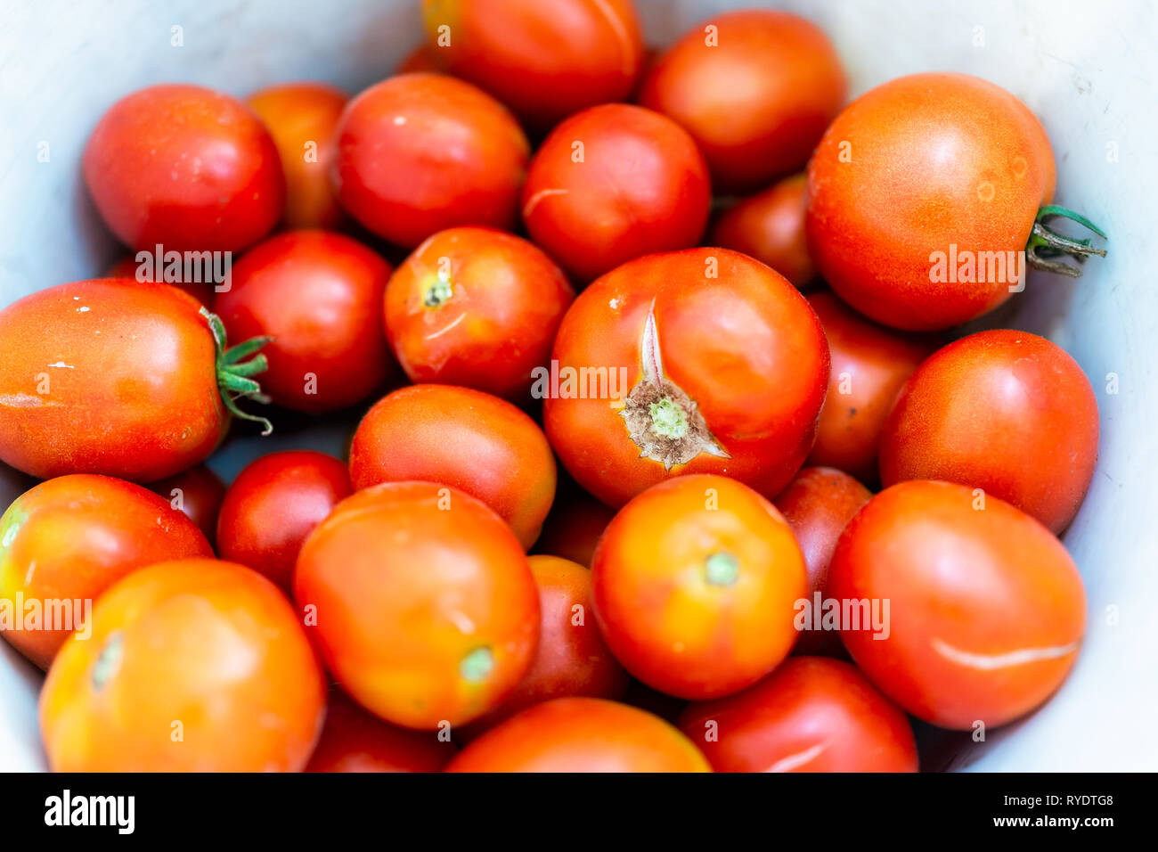 Closeup of large bucket basket filled with fresh orange yellow red ...