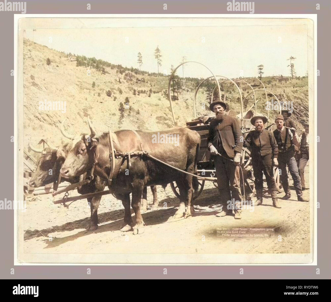 Gold fever hi-res stock photography and images - Alamy