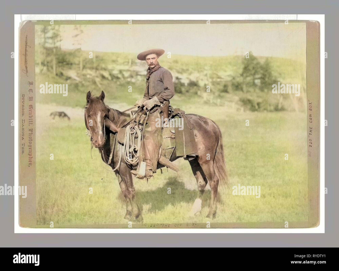 The Cow Boy Stock Photo - Alamy