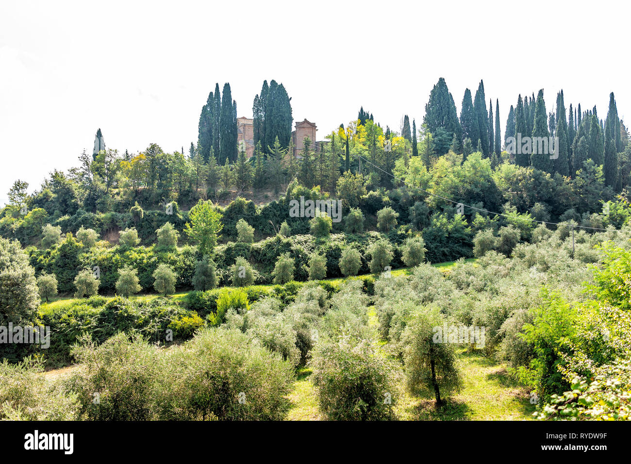 Chiusi, Italy landscape of rolling hills with vineyard winery villa ...