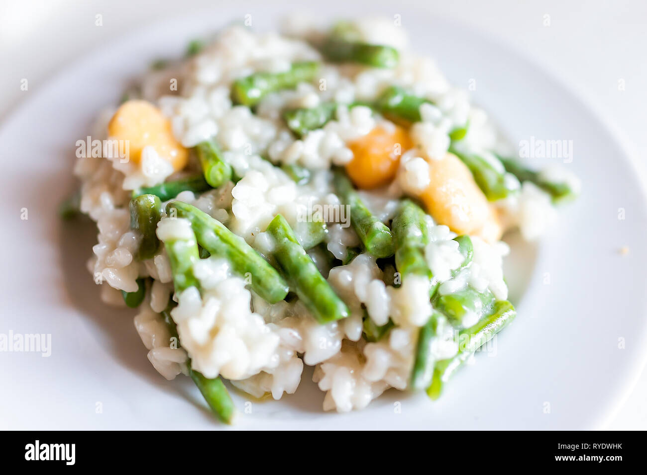 Macro closeup view of risotto Italian arborio cooked rice with lupine ...