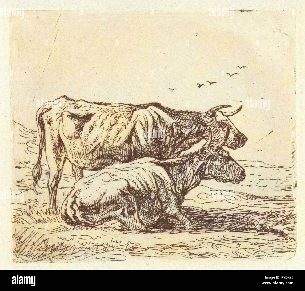 Two cows, Ernst Willem Jan Bagelaar, Aelbert Cuyp, 1814 Stock Photo - Alamy
