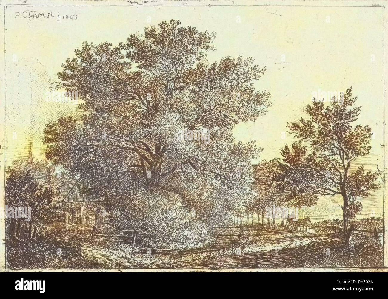 Christ tree hi-res stock photography and images - Alamy