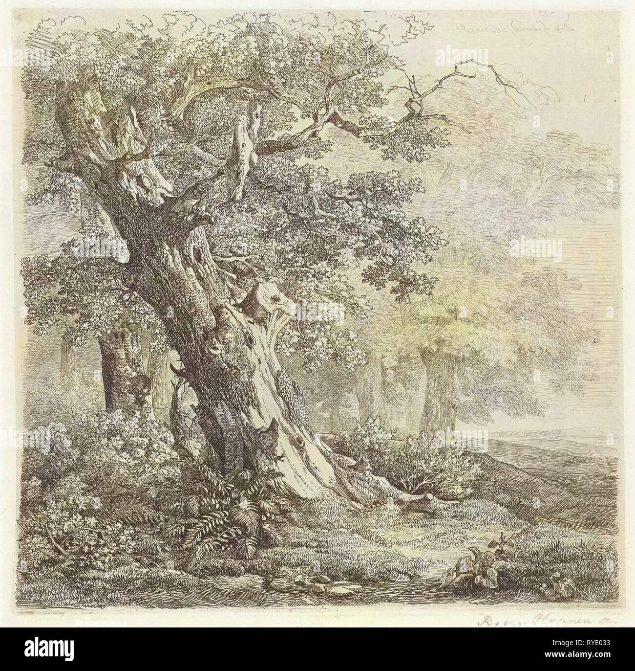 tree in a landscape, Remigius Adrianus Haanen, 1848 Stock Photo - Alamy