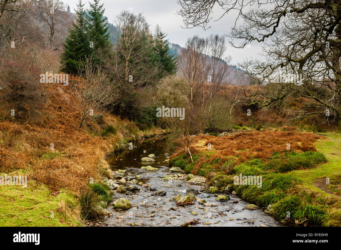 Dargle river hi-res stock photography and images - Alamy