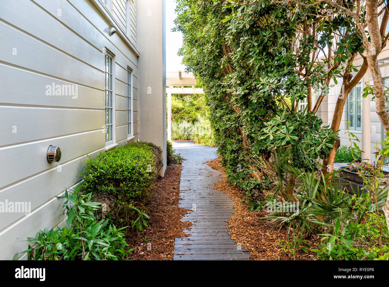 White beach wooden architecture path way with green landscaping plants ...