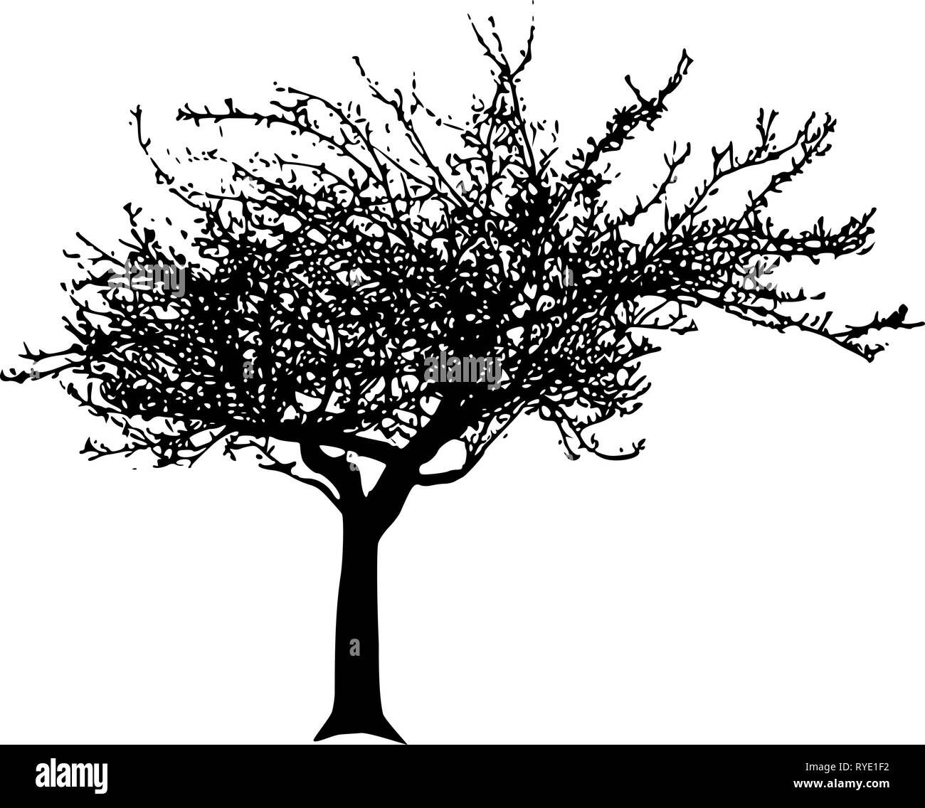 Fruit Tree Silhouette