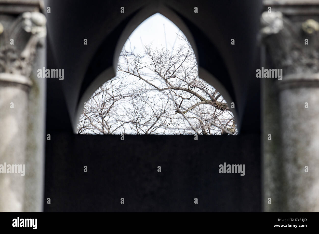 View of the tree branches through antique vintage window between two ...