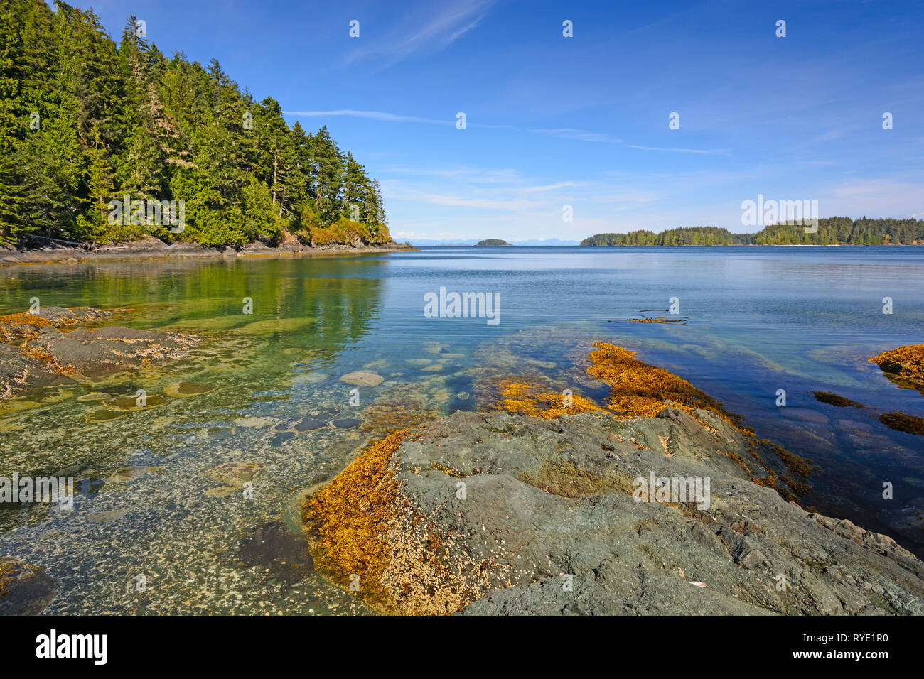 Remote Bay on the North Coast of Vancouver Island Stock Photo - Alamy