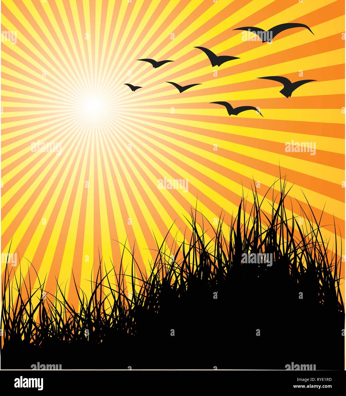 Summer vector background - grass, birds and sunset Stock Vector Image ...