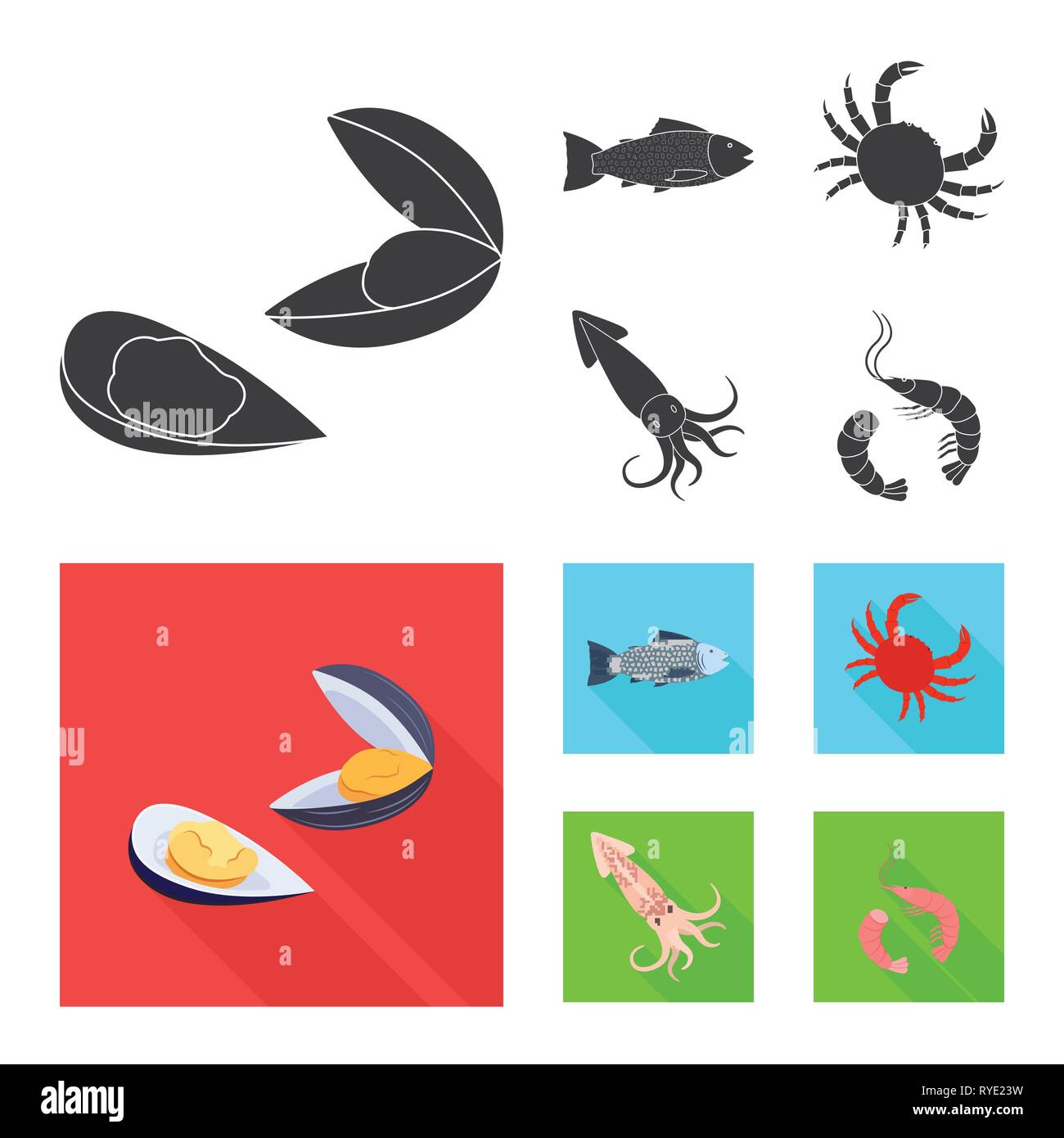 mussel,salmon,crab,octopus,shrimp,clam,fish,shell,squid,prawn,trout,red ...
