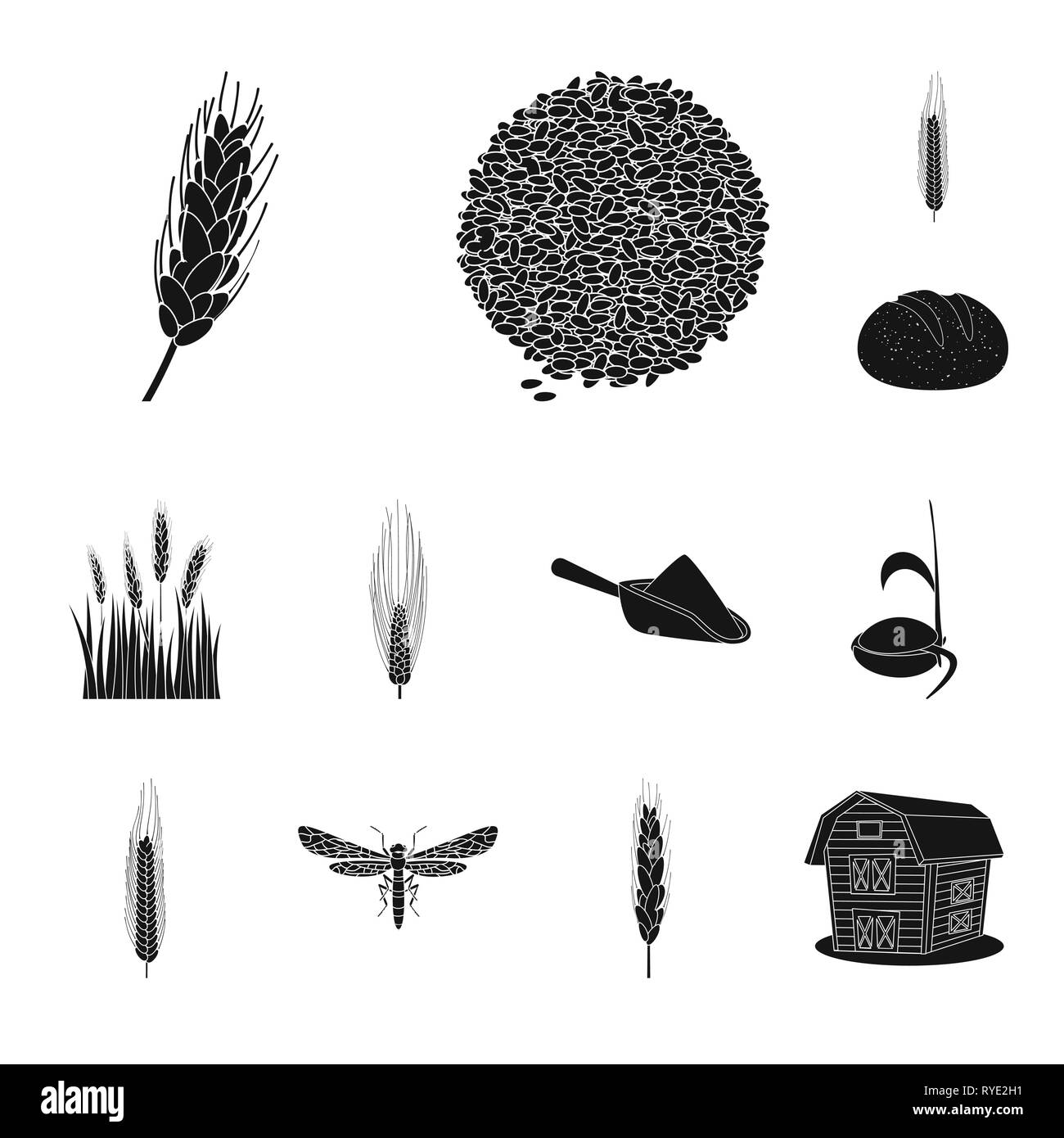 Flour granary seeds meal hi-res stock photography and images - Alamy