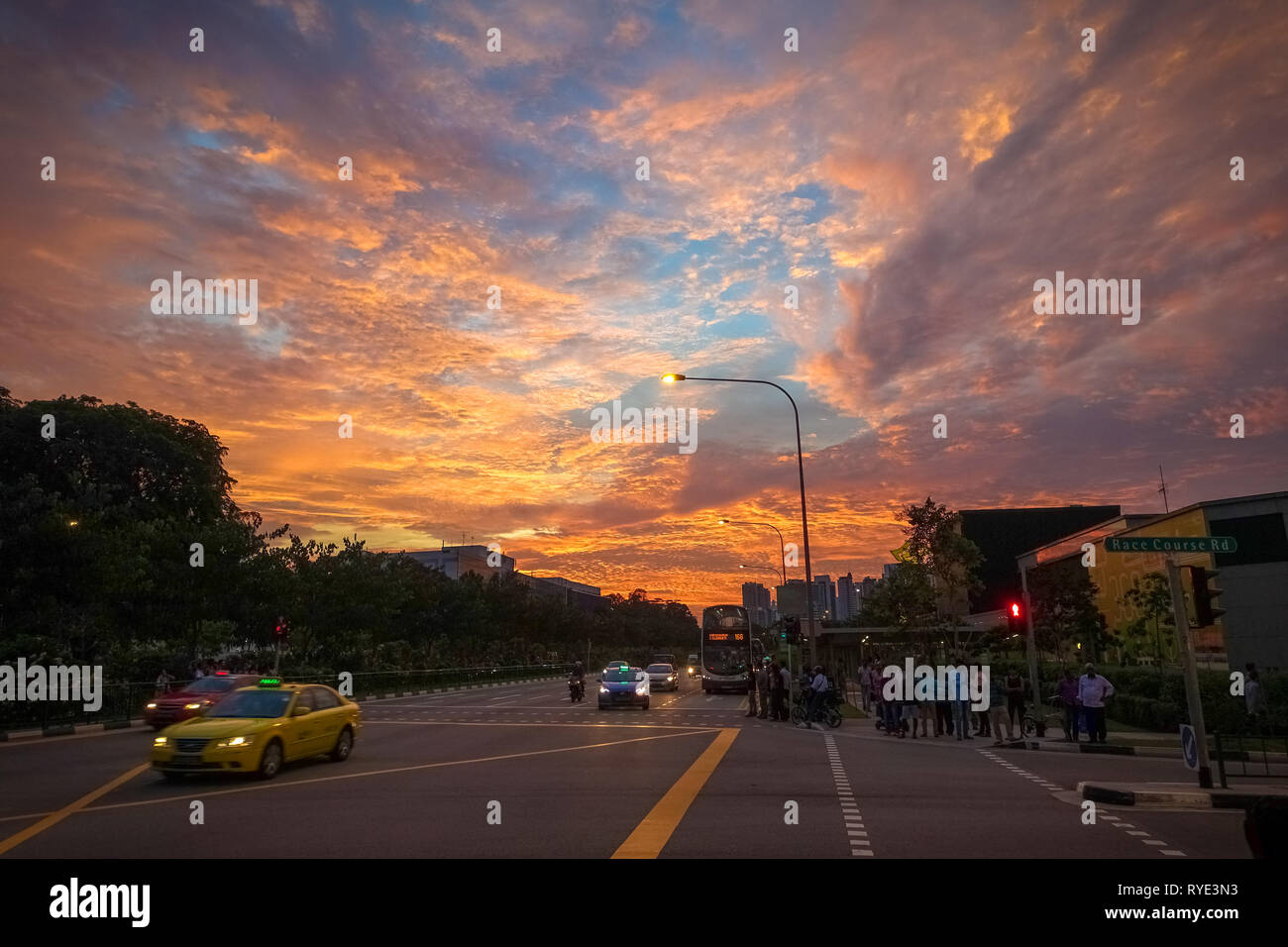 Bukit timah road singapore hi-res stock photography and images - Alamy