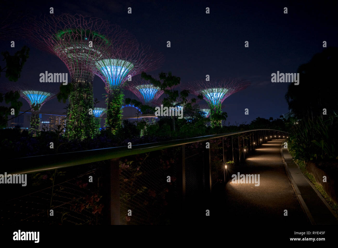Walking path with Supertree Grove and Marina Bay Sands View Gardens By ...