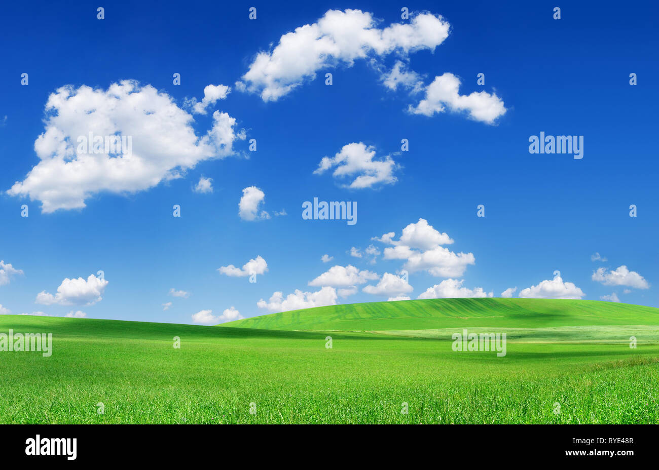 Fields spring blue sky hi-res stock photography and images - Alamy