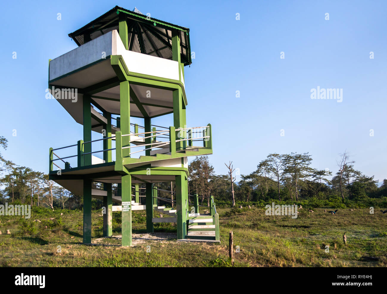 Manas national park and wildlife during daytime and green park Stock ...