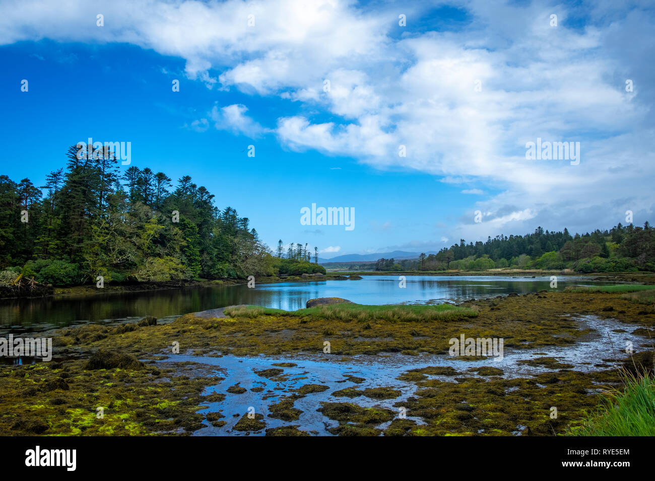 Landscape at Lauragh on the Ring of Beara Stock Photo - Alamy