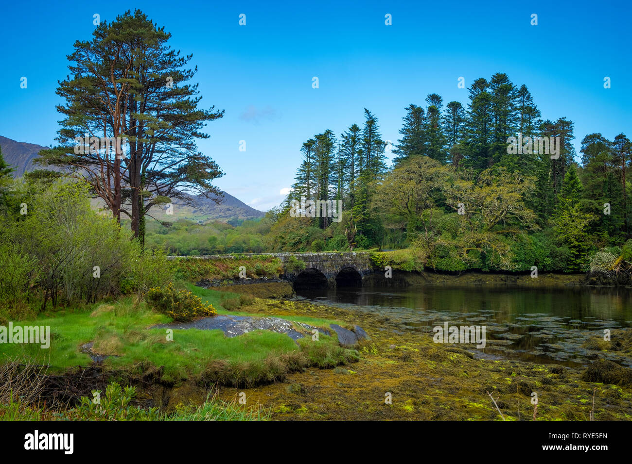Landscape at Lauragh on the Ring of Beara Stock Photo - Alamy