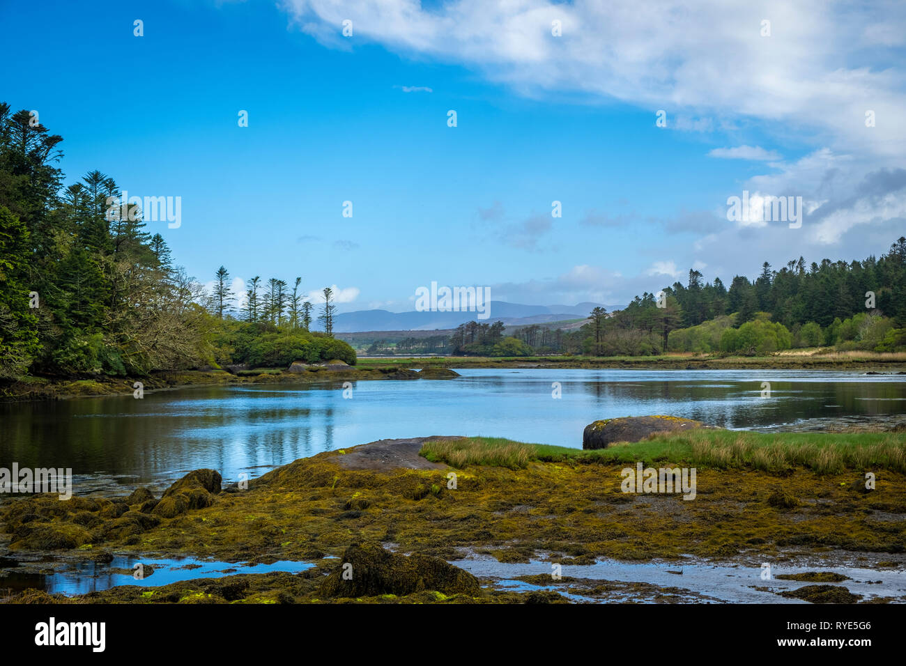 Landscape at Lauragh on the Ring of Beara Stock Photo - Alamy
