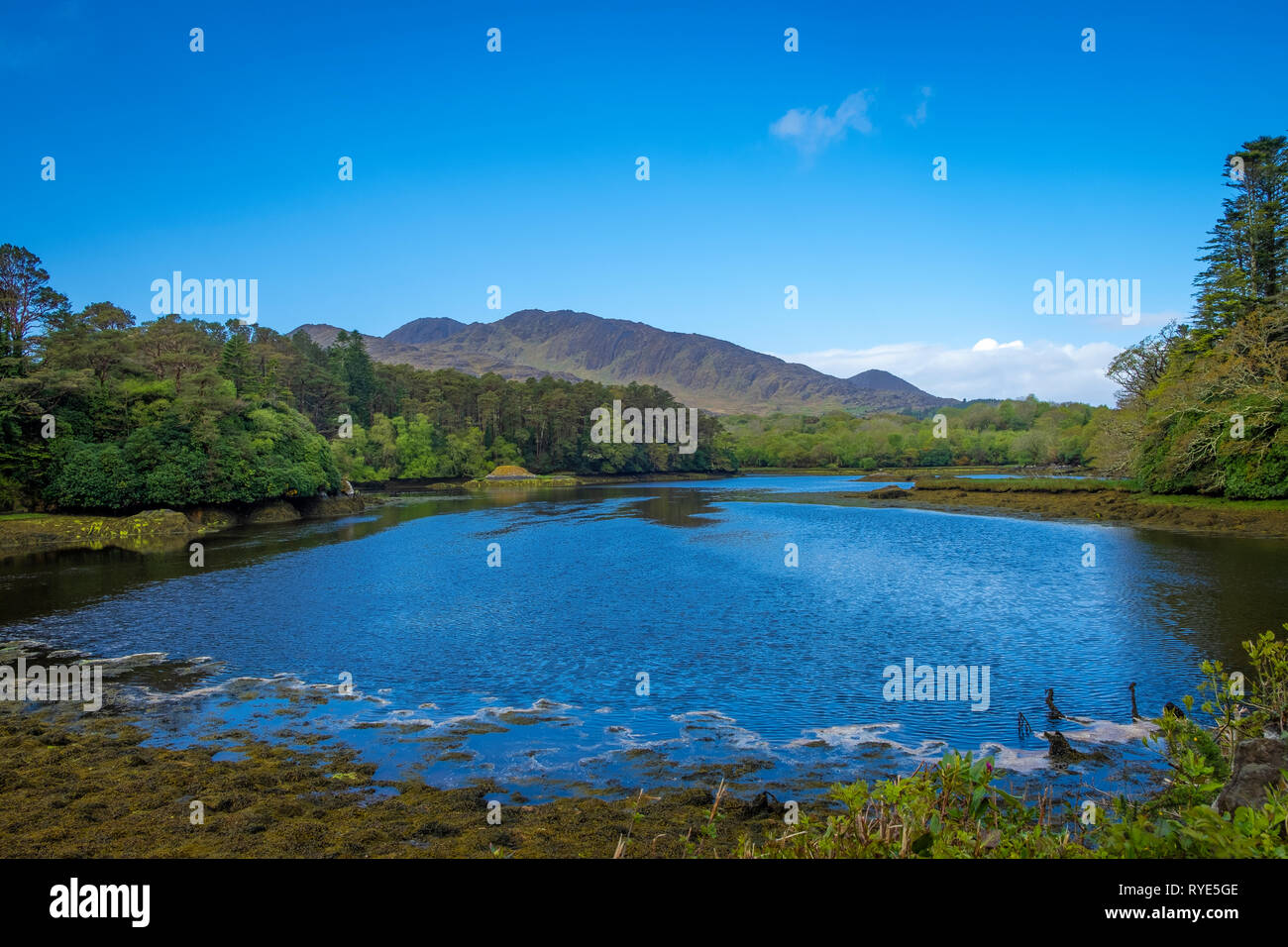 Landscape at Lauragh on the Ring of Beara Stock Photo - Alamy