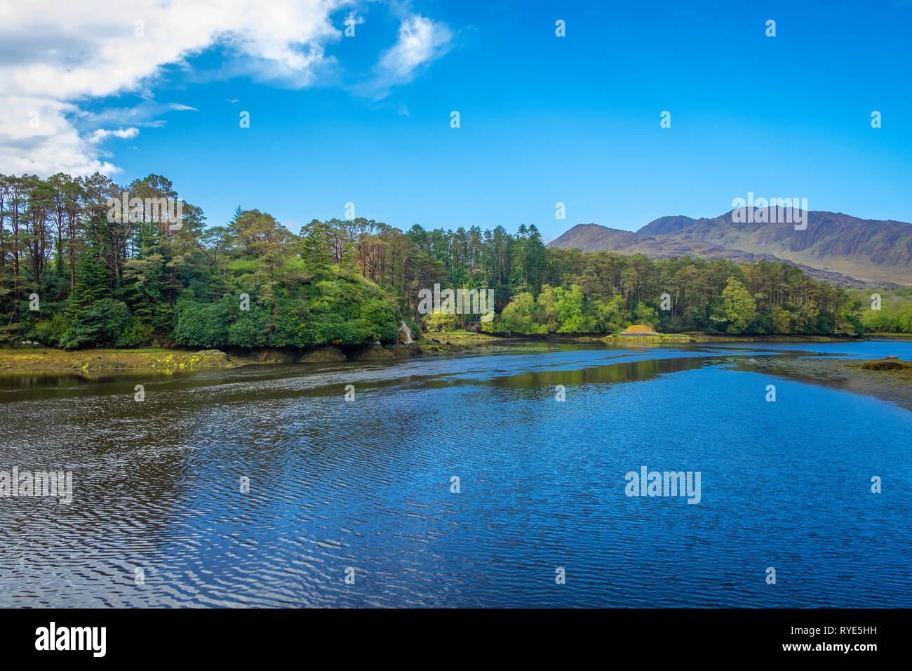 Landscape at Lauragh on the Ring of Beara Stock Photo - Alamy