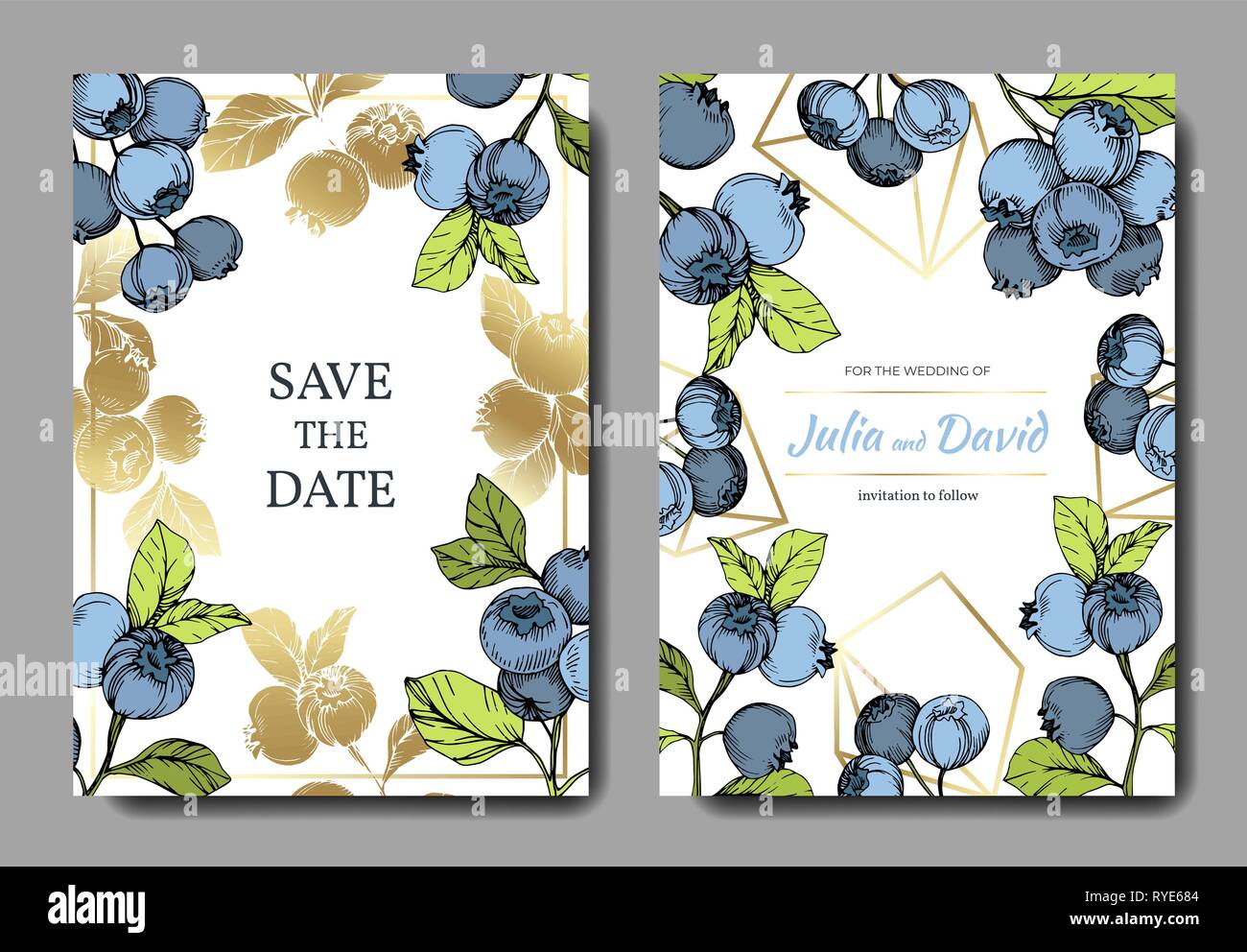 Vector Blueberry blue and green engraved ink art. Berries and green ...