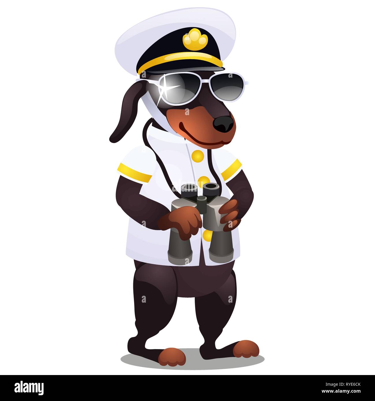 Dog in the costume of the captain of the ship with binoculars isolated ...