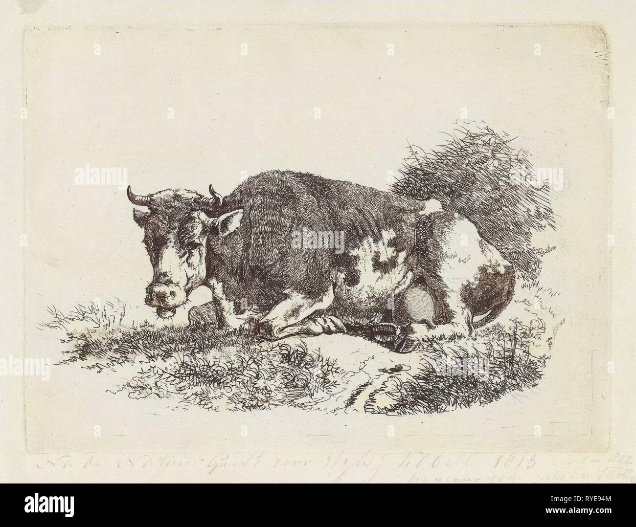 lying Cow, Jan Kobell (III), 1810 - 1838 Stock Photo - Alamy